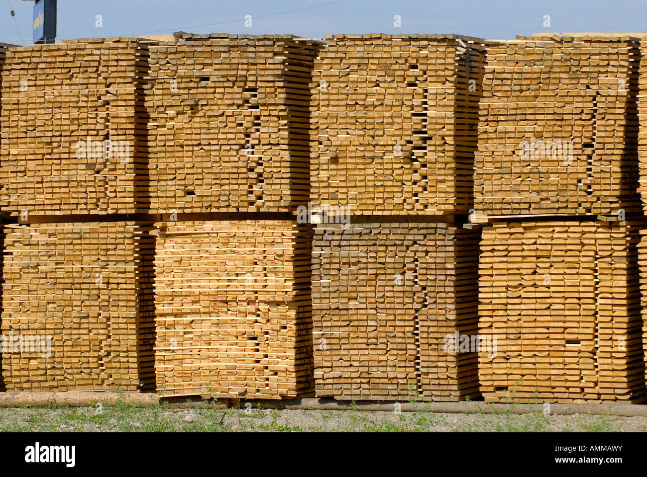 Stacked Lumber Forestry Logging Wood Industry Quesnel British Columbia ...