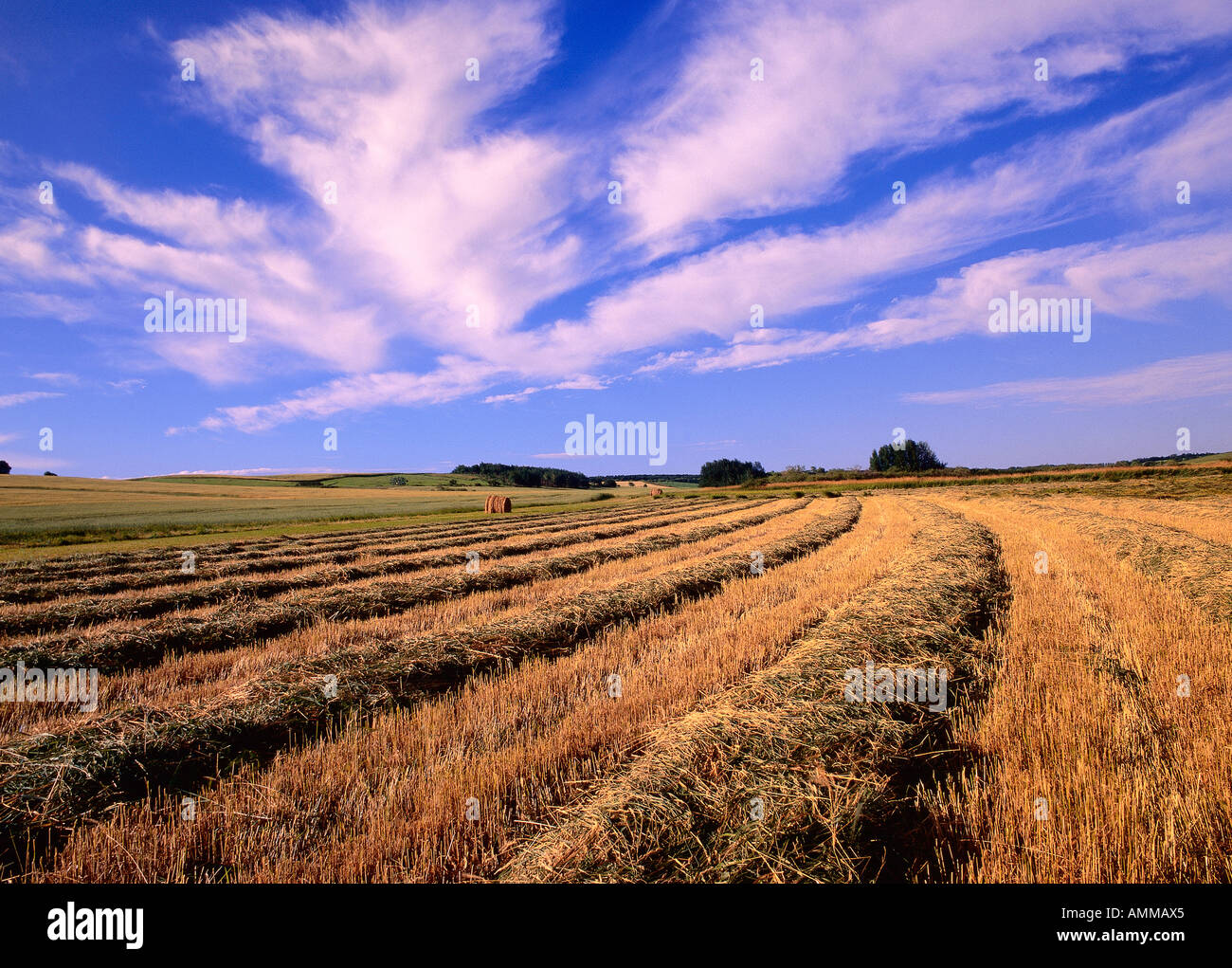 Pembina hills hi-res stock photography and images - Alamy