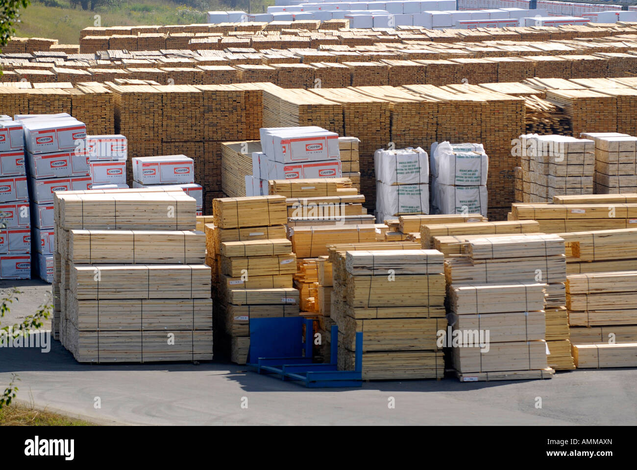 Stacked Lumber Forestry Logging Wood Industry Quesnel British Columbia ...