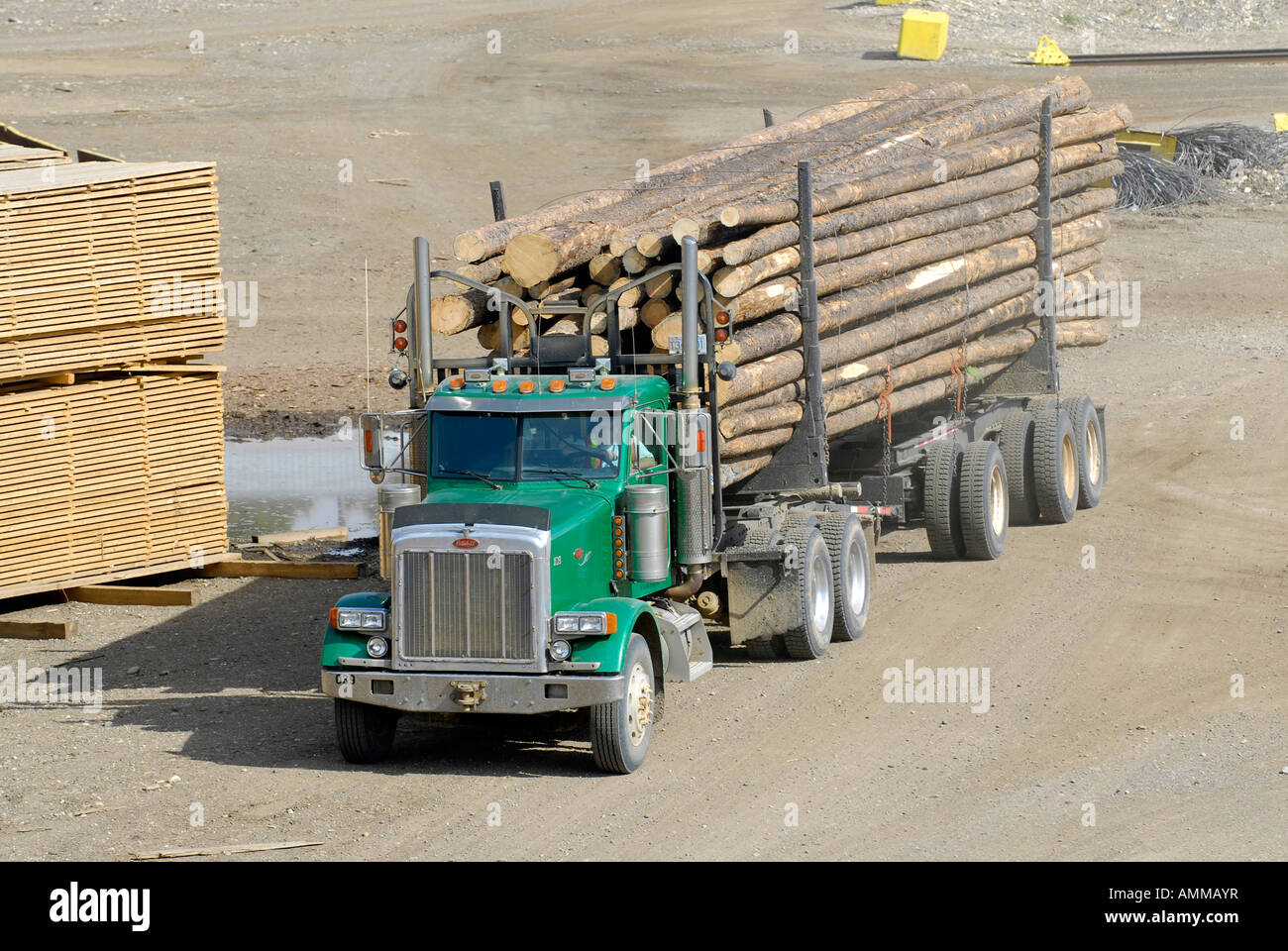 Canada british columbia quesnel wood hi-res stock photography and ...