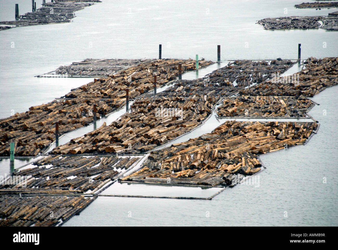 Logs floating in river hi-res stock photography and images - Alamy