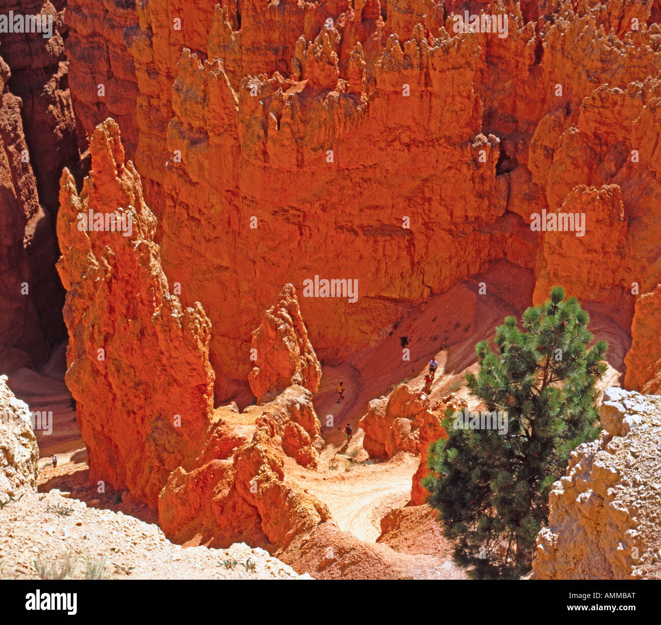 Rock formations, Bryce Canyon, Utah, USA Stock Photo - Alamy