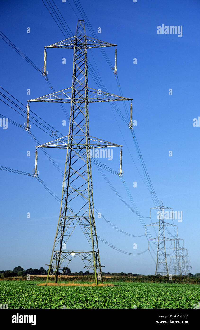 Pylons through farmland Stock Photo - Alamy