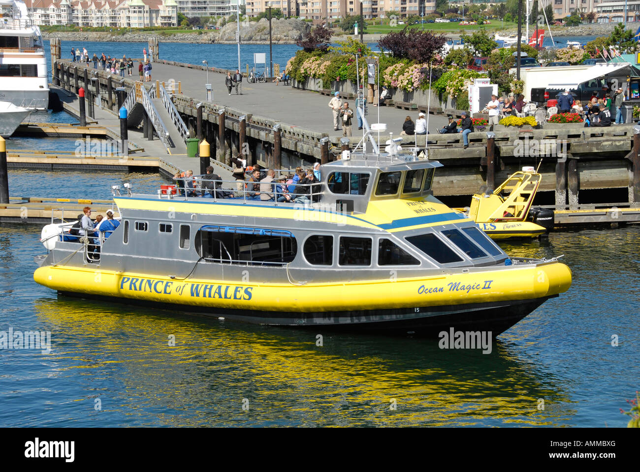 Whale Watch Watching Tours docked in Victoria Inner Harbour Harbor ...