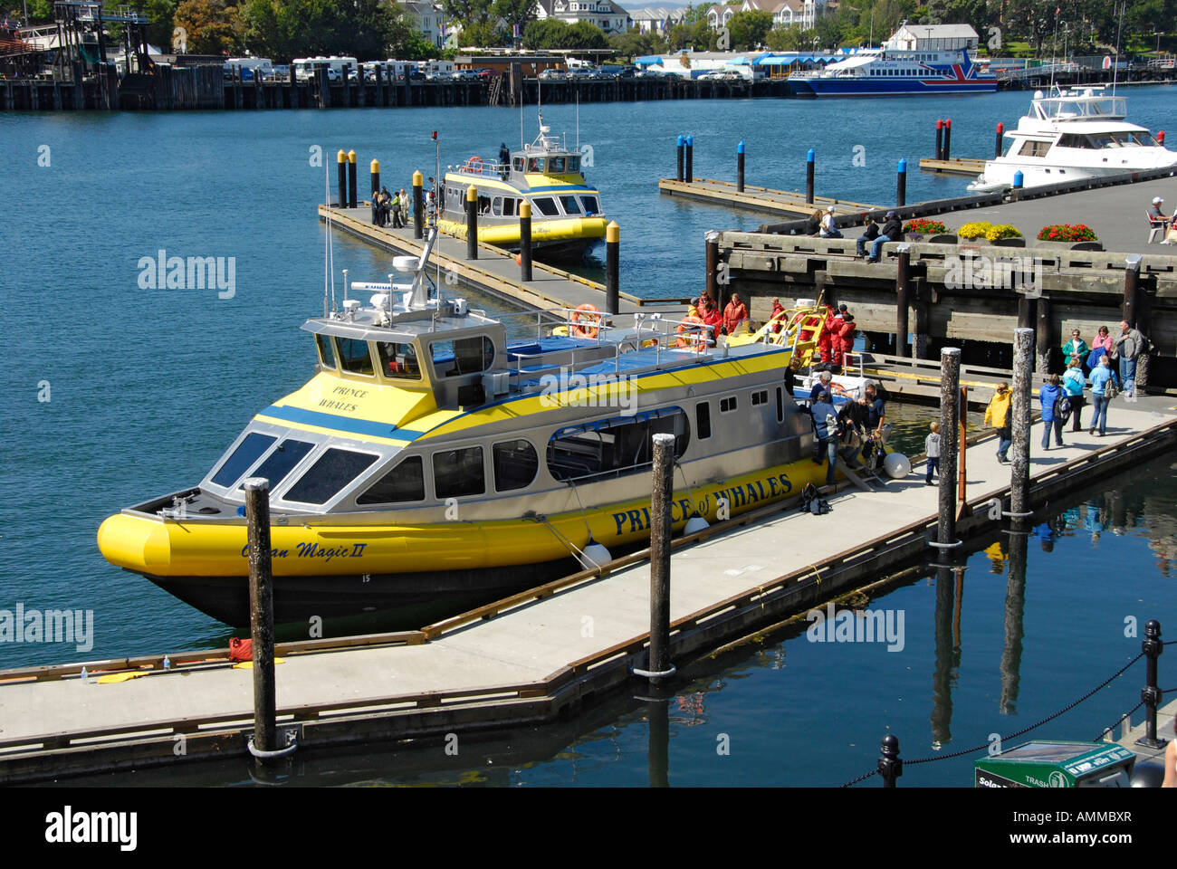 Whale Watch Watching Tours docked in Victoria Inner Harbour Harbor ...
