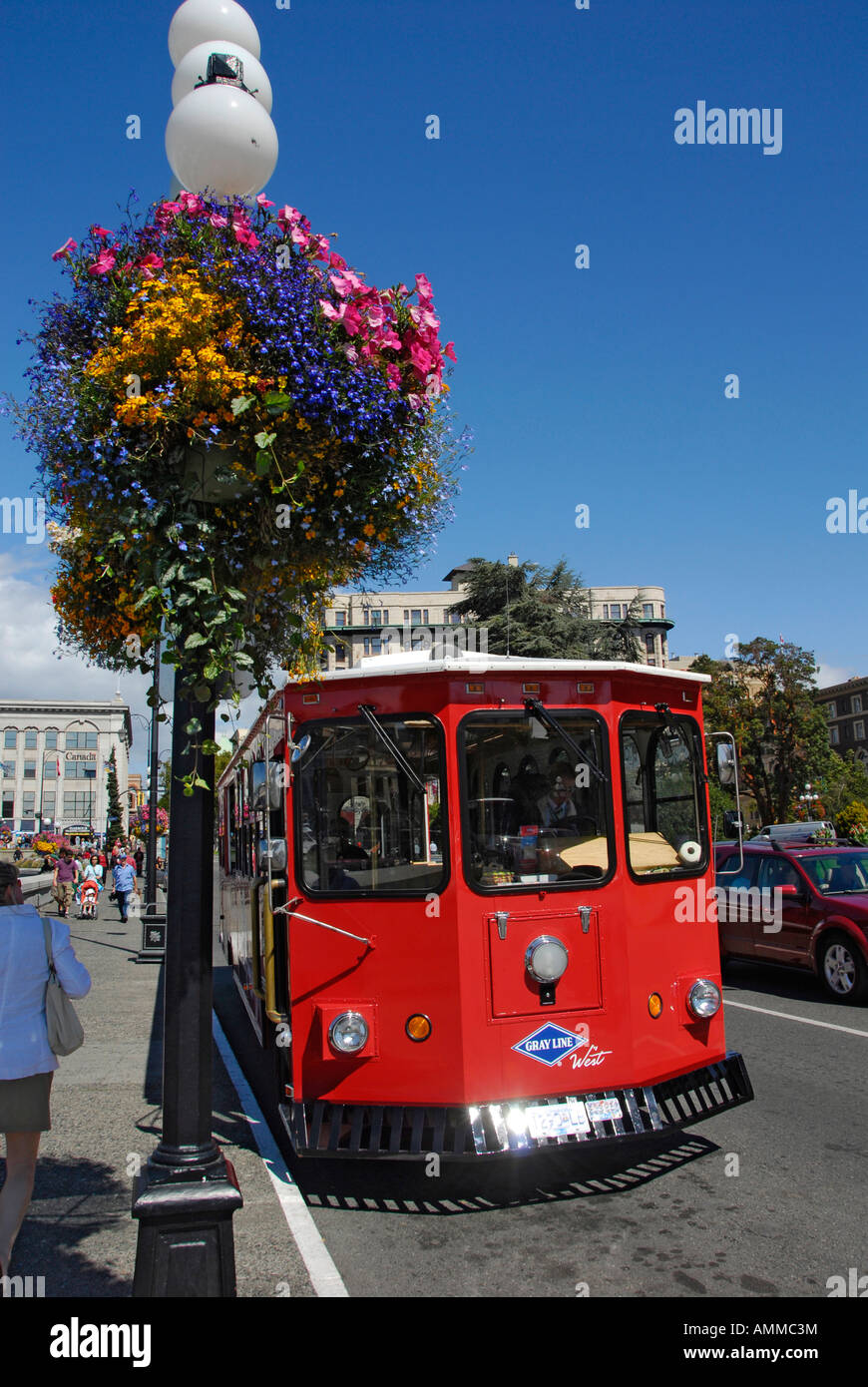 Tour Bus Busses Buses Sightseeing Vacation Travel in Victoria British ...