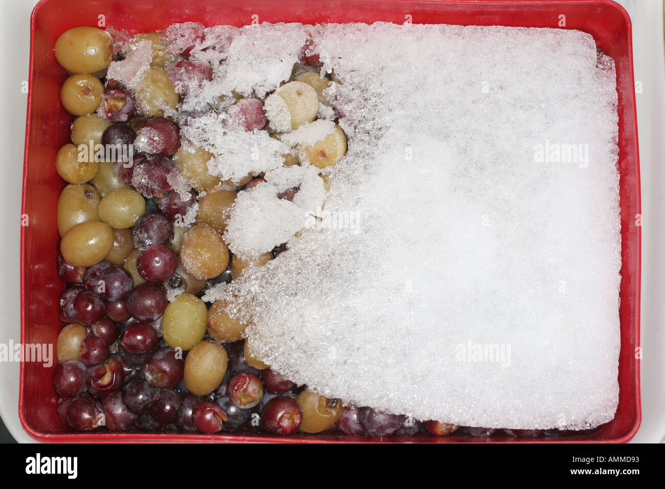 Frozen grapes hi-res stock photography and images - Alamy