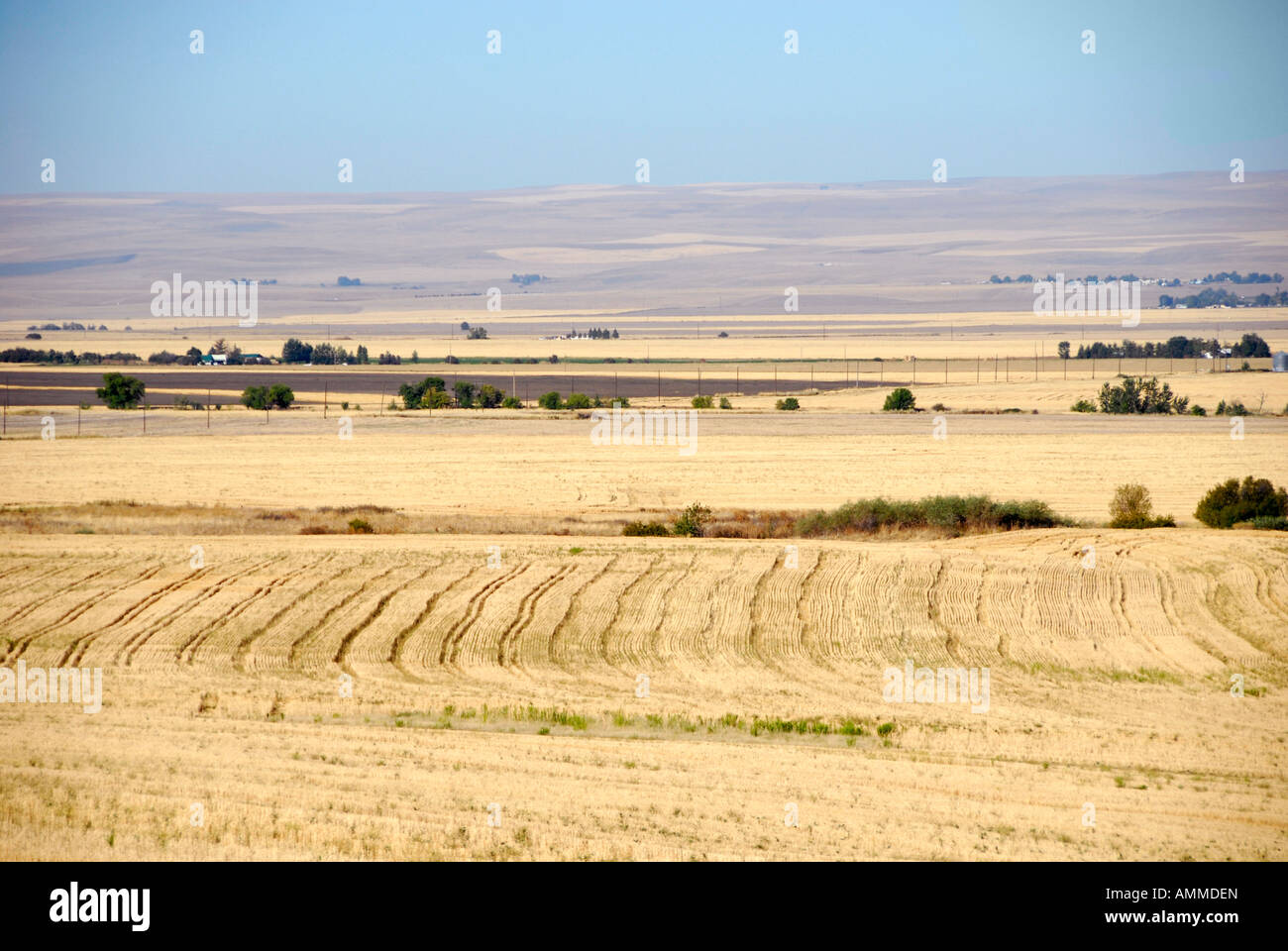 Idaho countryside farmland land along interstate ID US United States ...