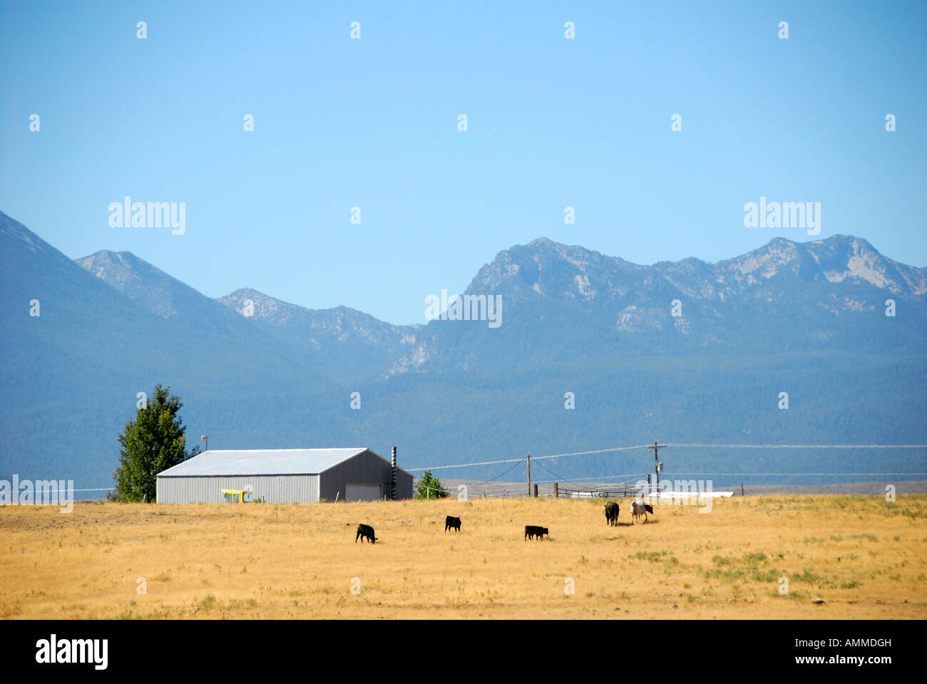 Farmland Ranchland farm ranch along interstate 80 in Wyoming WY US ...