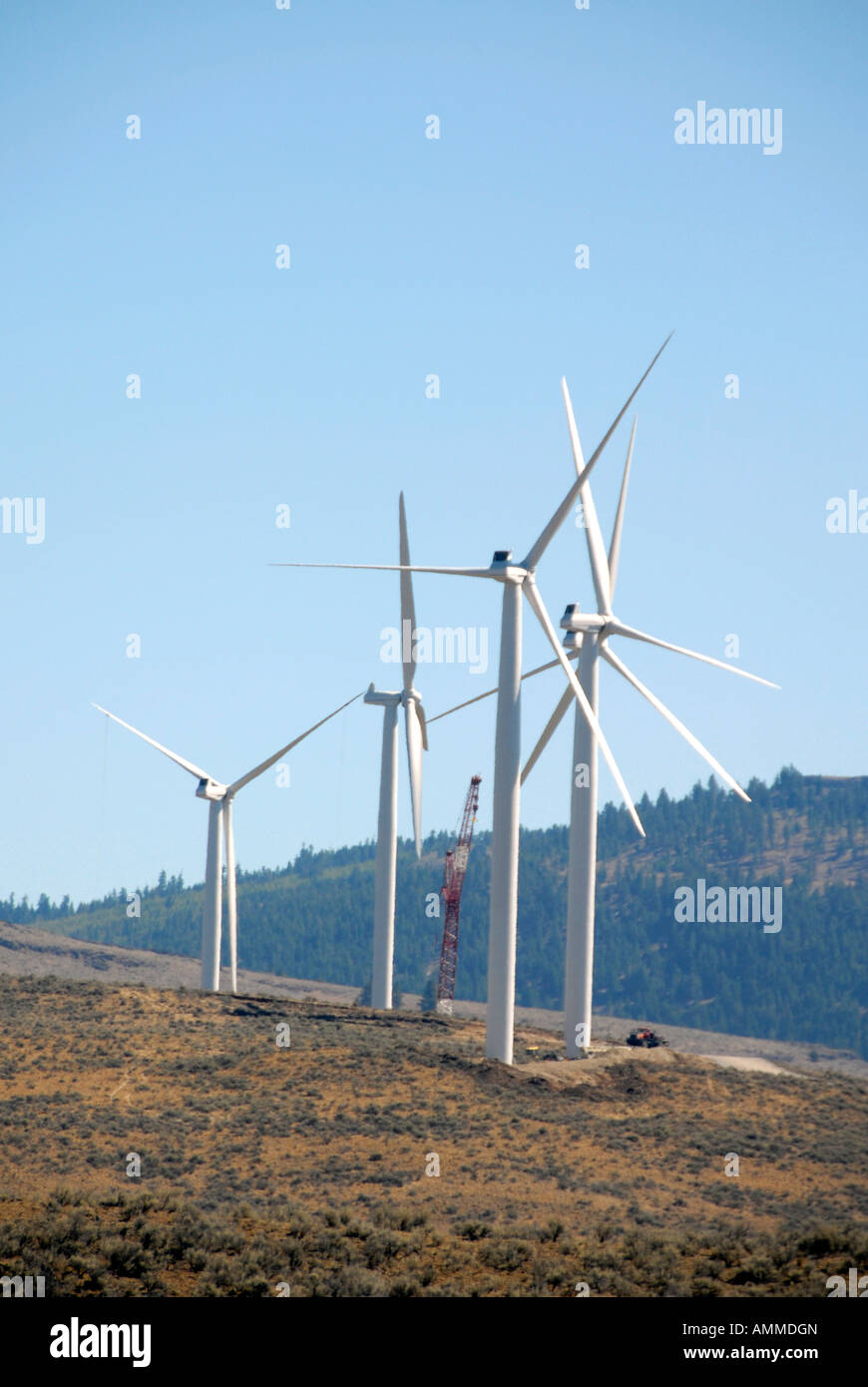 Wind Turbine Generators Windmills power farm electric windfarms capture ...