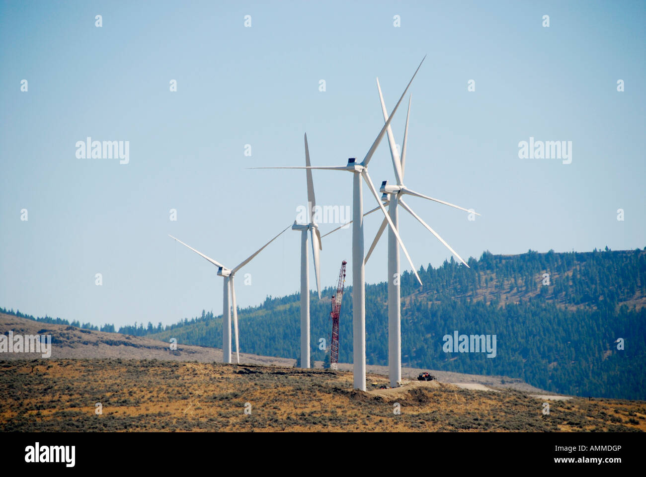 Wind Turbine Generators Windmills power farm electric windfarms capture ...