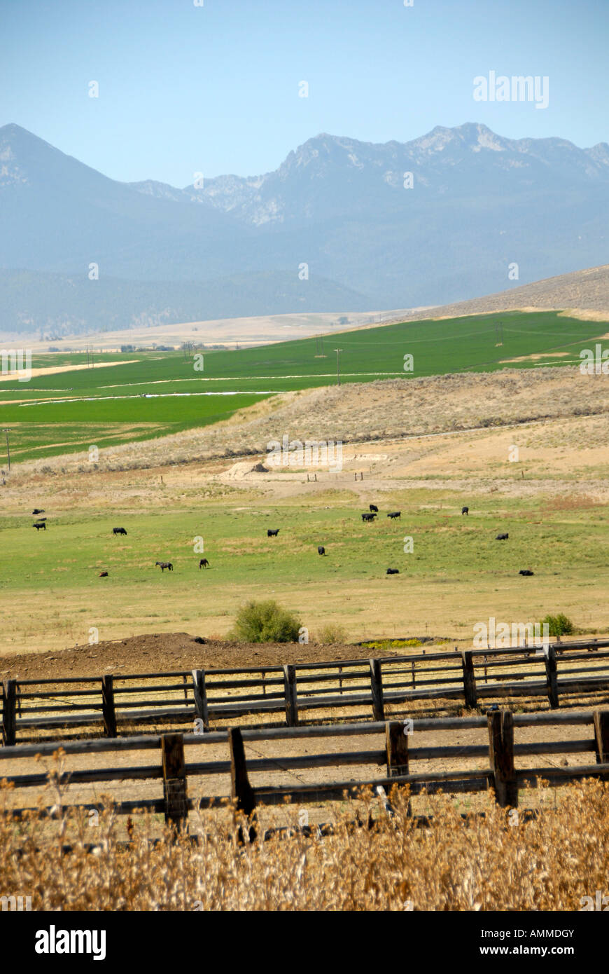 Wyoming farm farmland country courntyside ranch cattle mountains ...