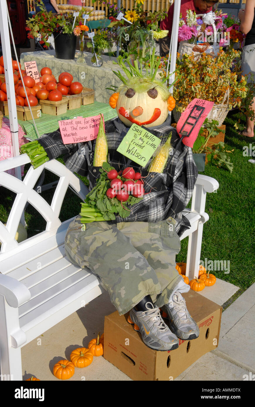 Vegetable art with a scarecrow made from various garden vegetables ...