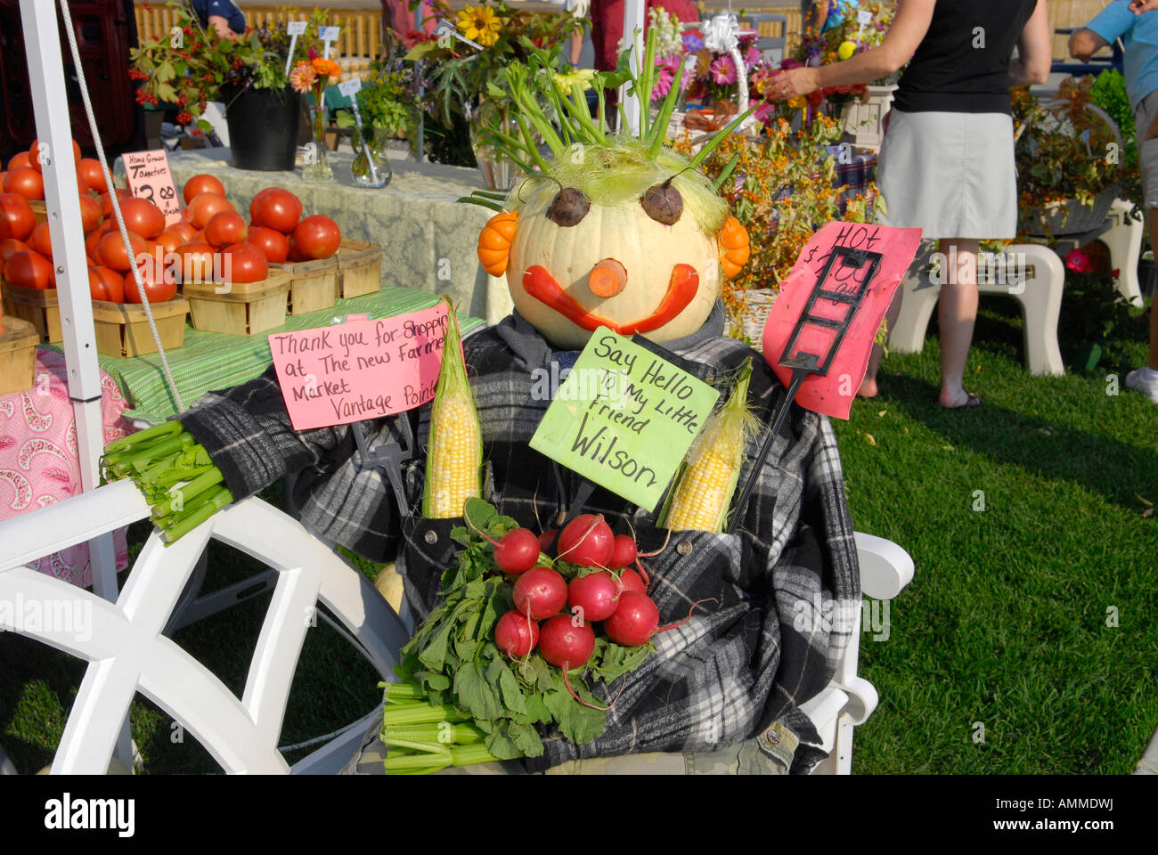 Vegetable art with a scarecrow made from various garden vegetables ...
