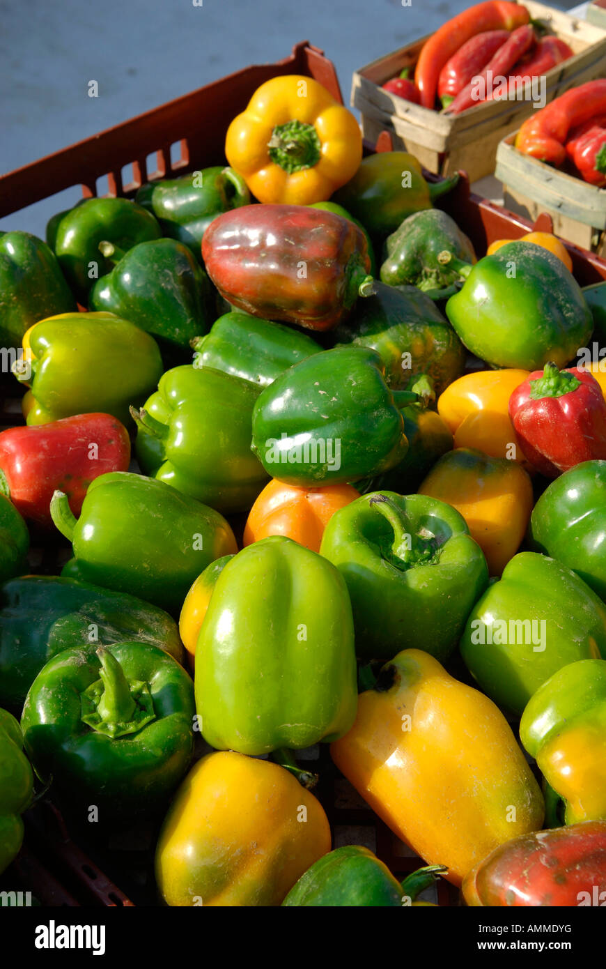 Peppers and vegetables for sale at a roadside farmer market stand Stock ...