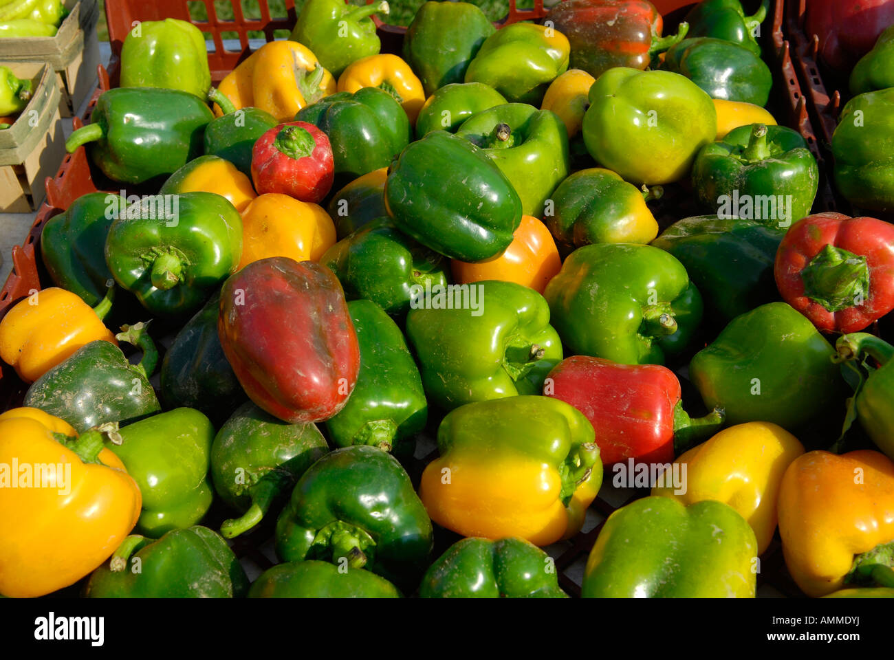 Market stand roadside in hi-res stock photography and images - Alamy