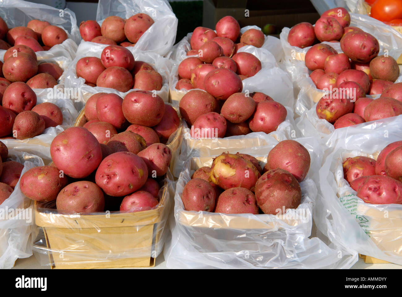 Potatoes and vegetables for sale at a roadside farmer market stand ...