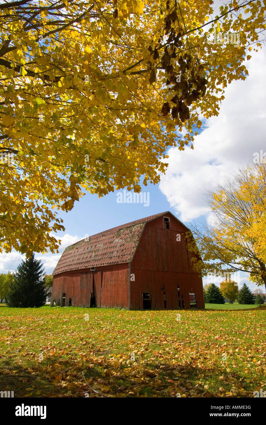 Autumn fall color pastoral farm scene near Springfield Illinois Stock ...