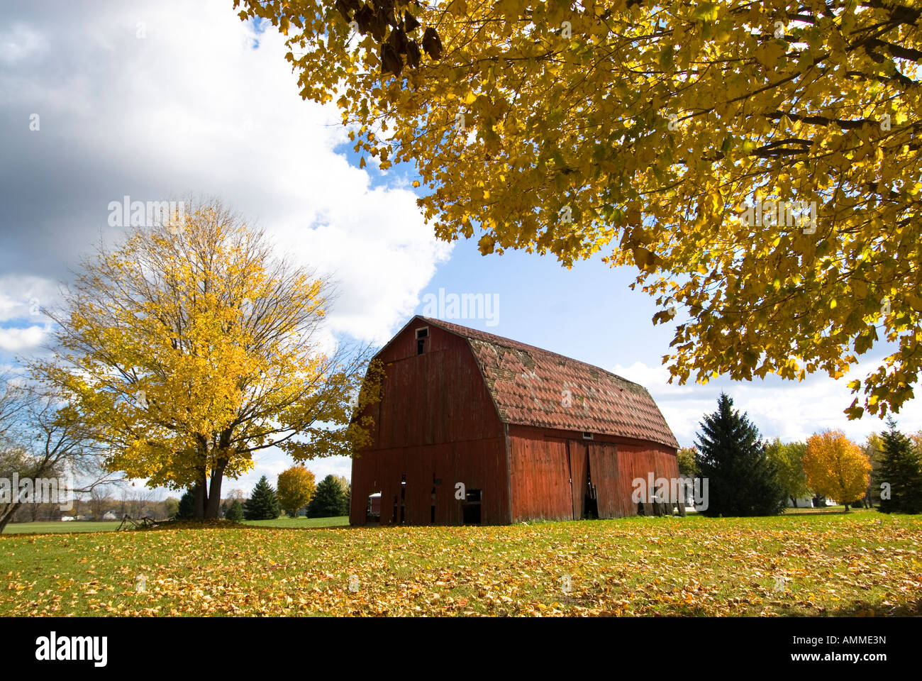 Autumn fall color pastoral farm scene near Springfield Illinois Stock ...