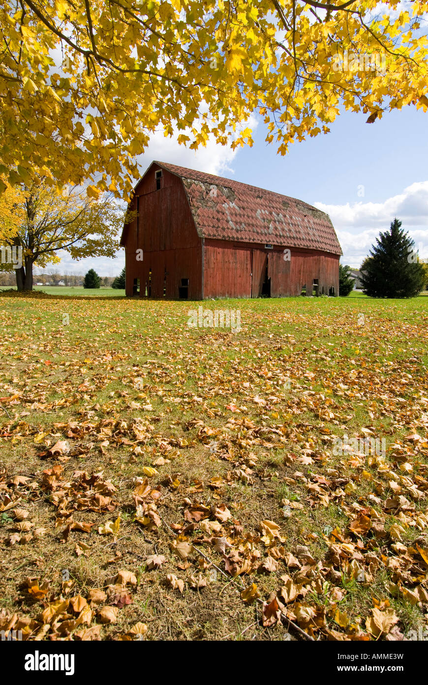 Autumn Barn Scenes