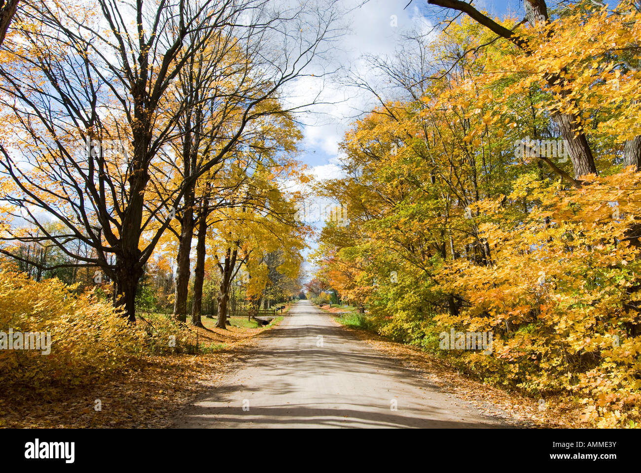Autumn fall color color pastoral scene near Springfield Illinois Stock ...