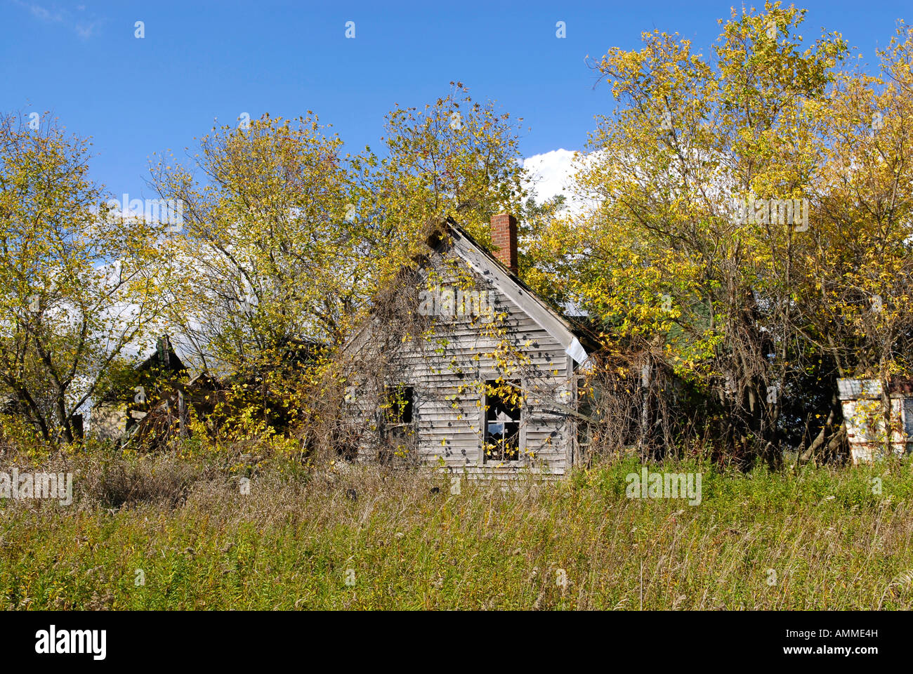 Dilapidated old farm house in a field during autumn time near Port ...