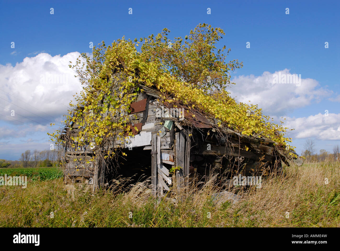 Old time farm house hi-res stock photography and images - Alamy