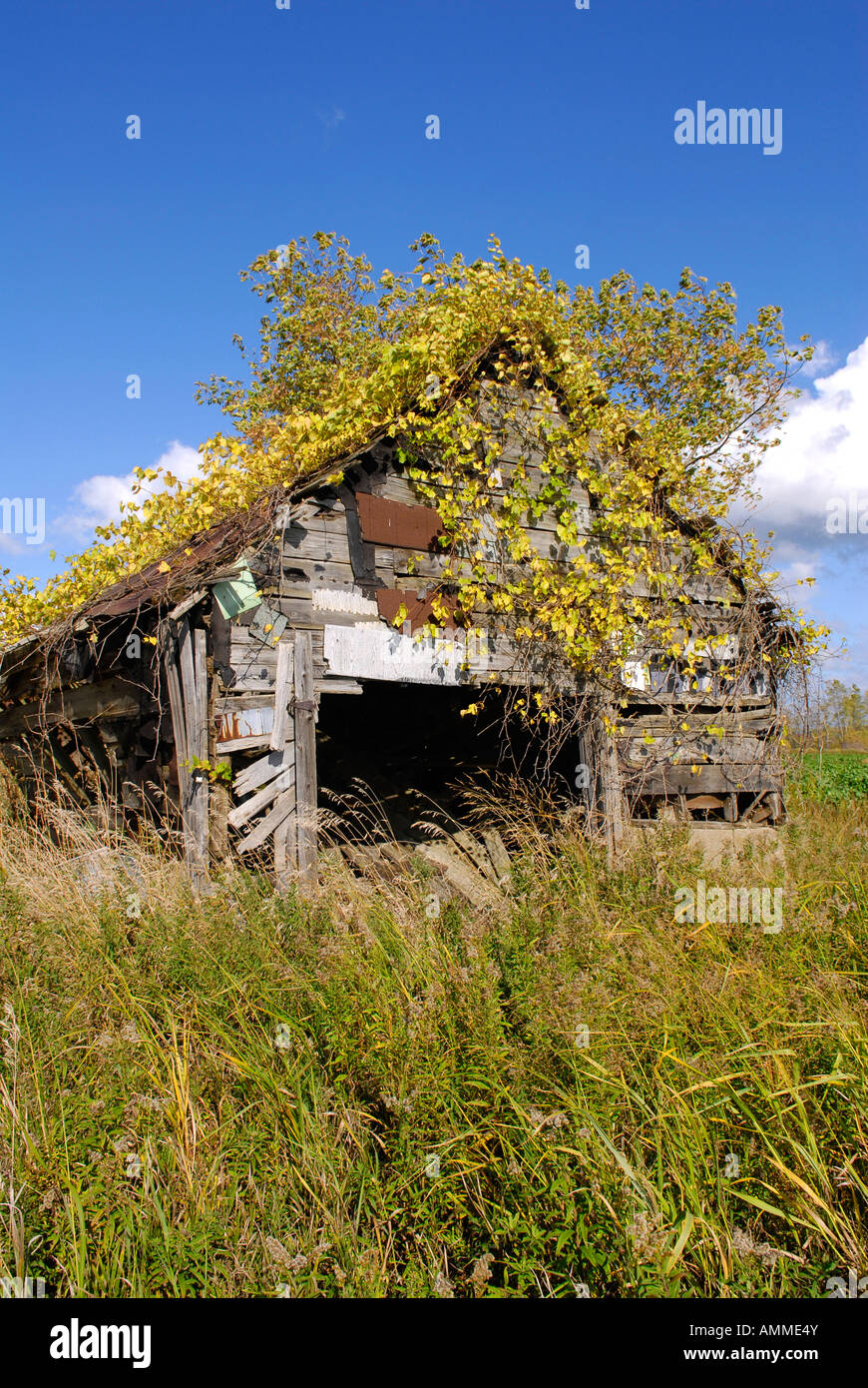 Old time farm house hi-res stock photography and images - Alamy