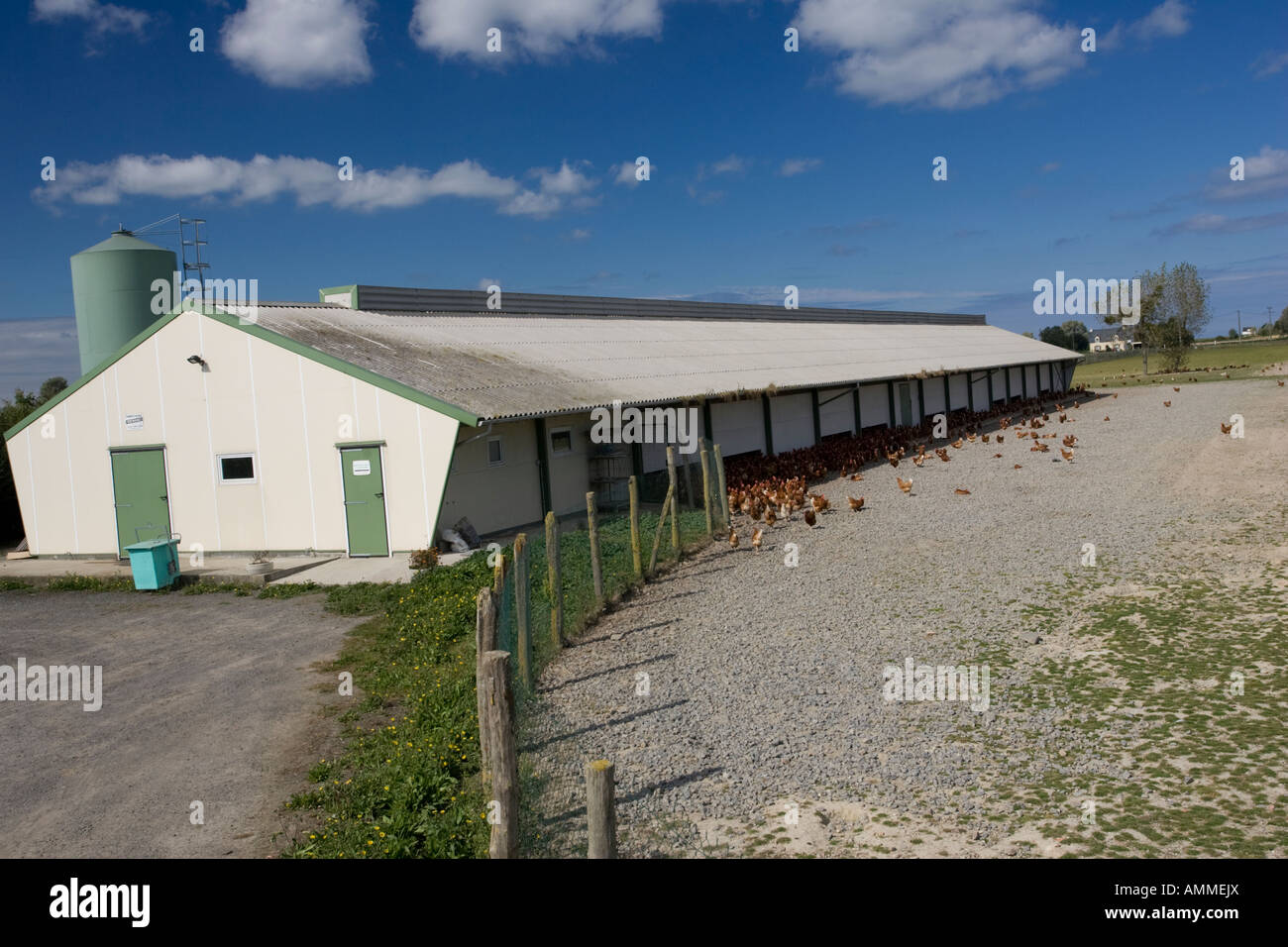 Free range poultry outside chickens Normandy France Stock Photo - Alamy