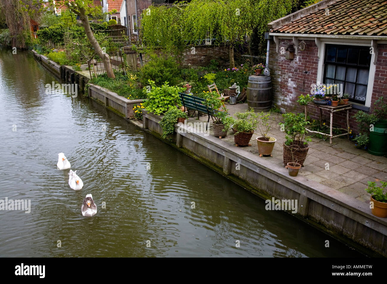 Edam edam Holland Noord north Dutch Netherlands cheese Gouda pays bas ...