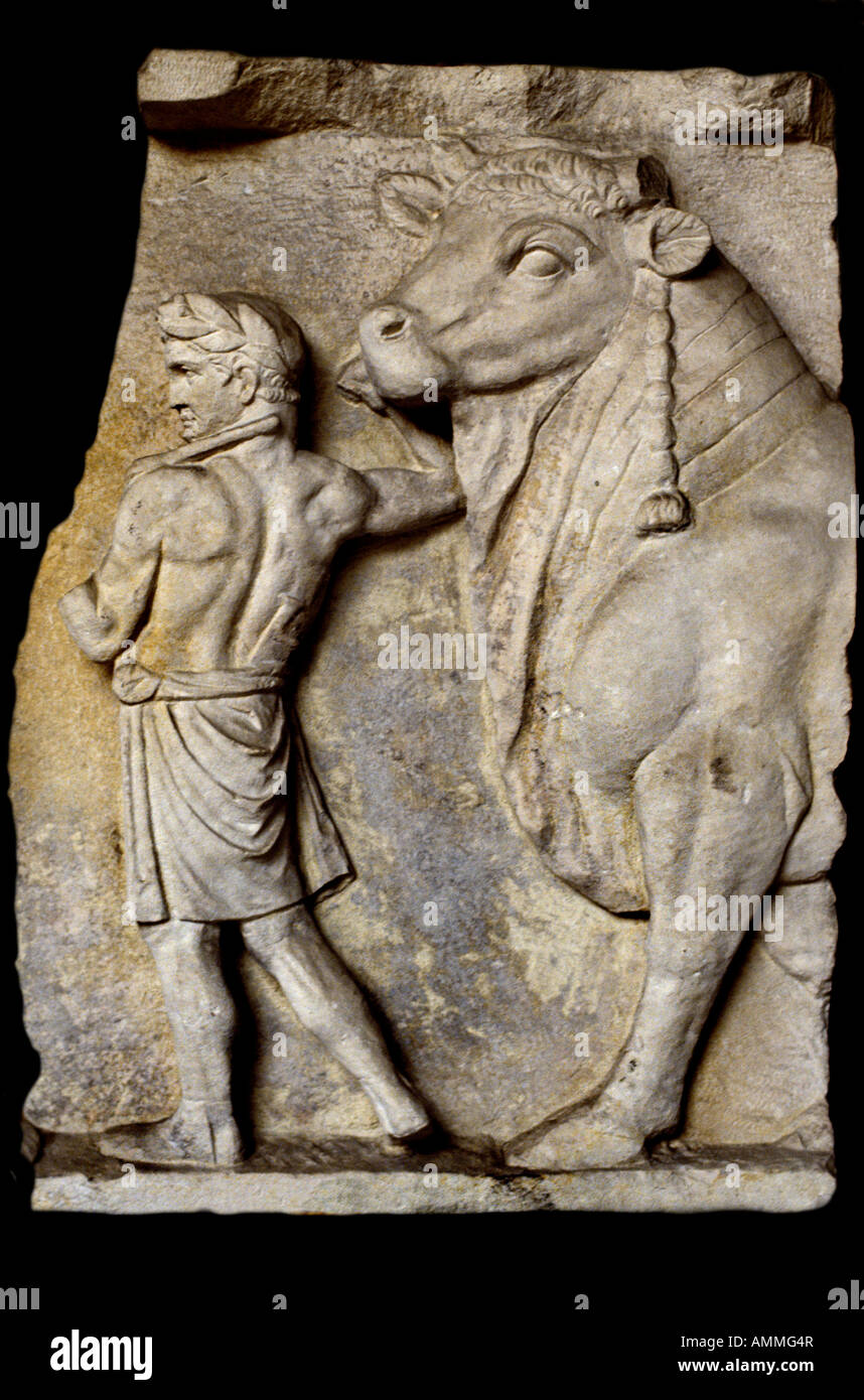 Ox Rome rome roman museum archaeology Stock Photo - Alamy