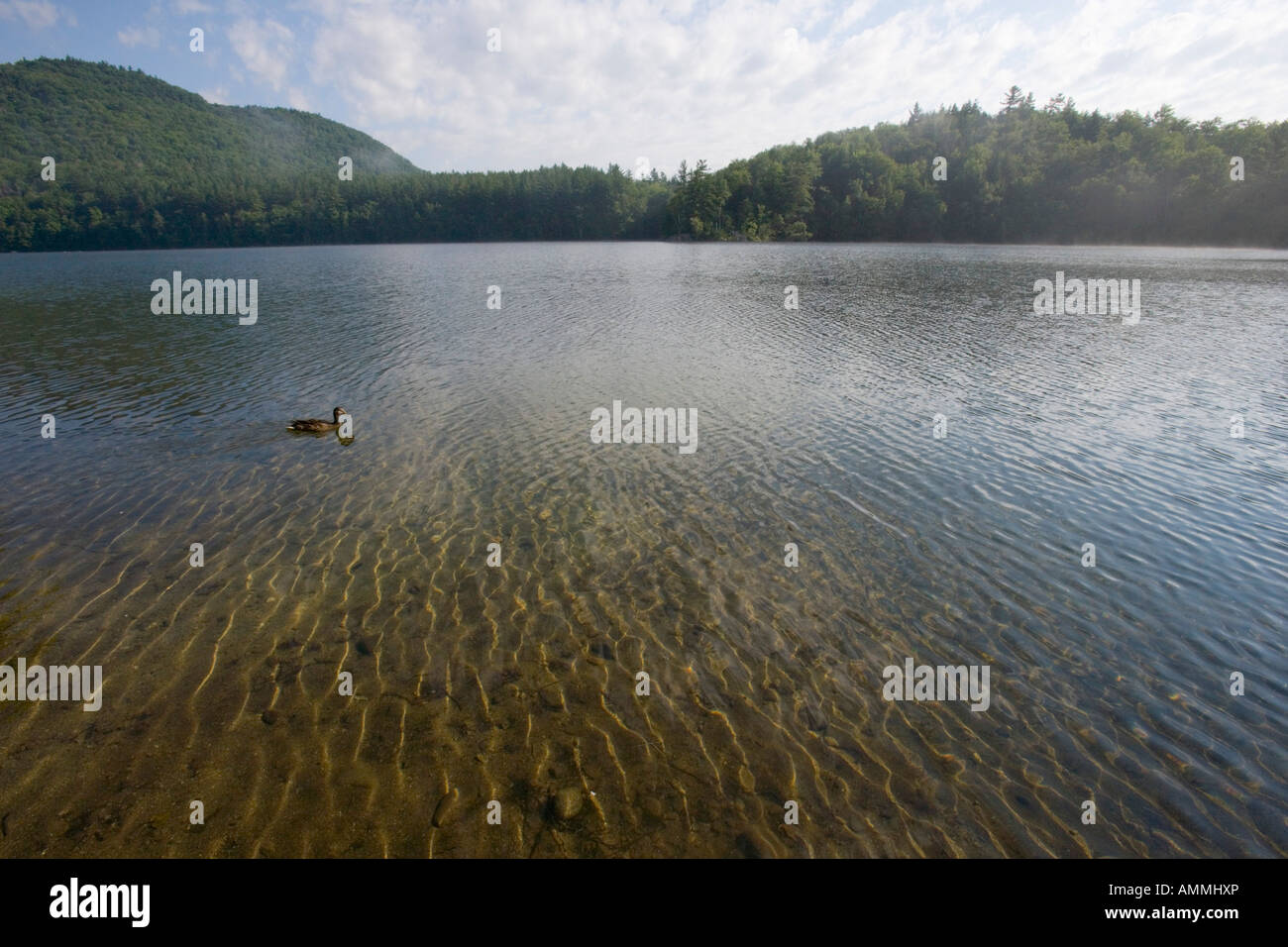 Hubbard lake hi-res stock photography and images - Alamy