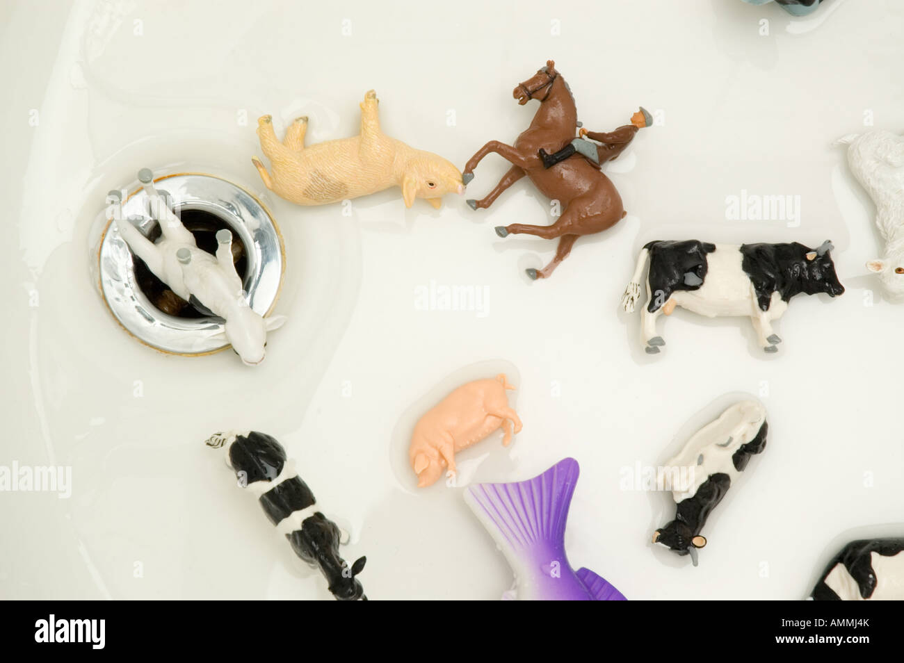 A child's assortment of play toys after a bath Stock Photo - Alamy