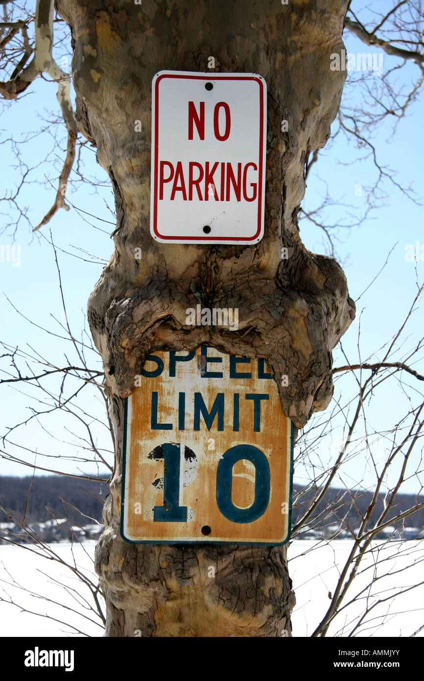 Encroaching tree hi-res stock photography and images - Alamy