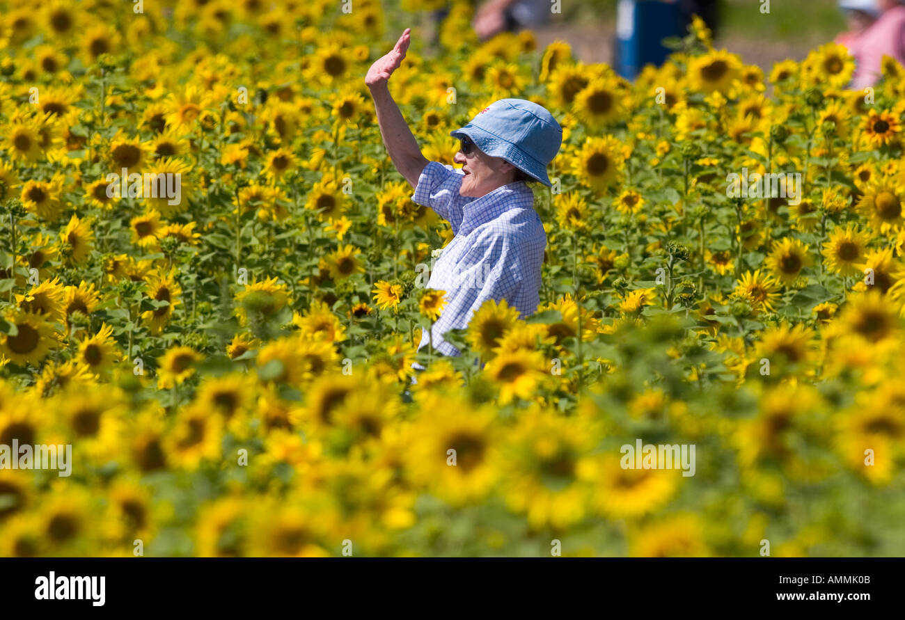 Lady Waving High Resolution Stock Photography and Images - Alamy