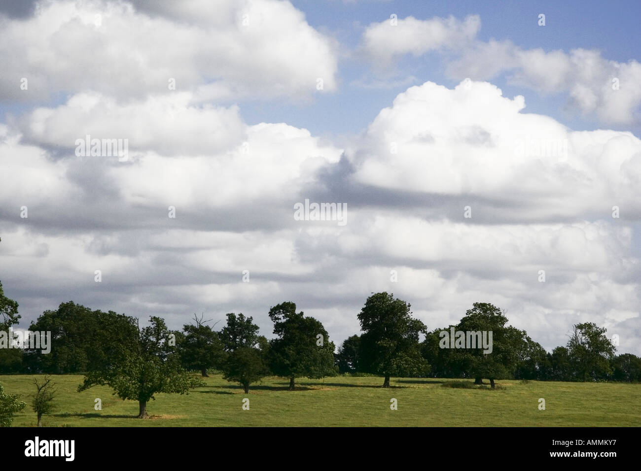 northamptonshire Kirby hall midlands common market union european ...