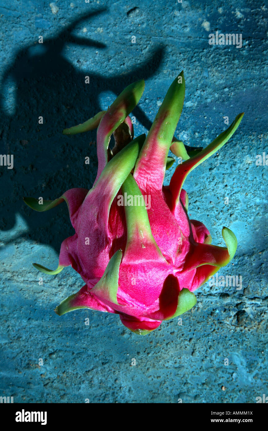 Dragon fruit on a rustic blue background Stock Photo - Alamy
