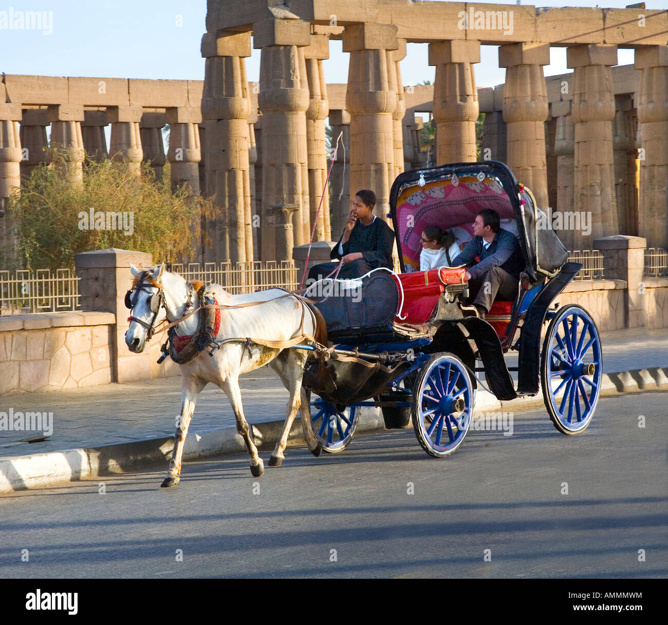 Riding in horse and carriage hi-res stock photography and images - Alamy