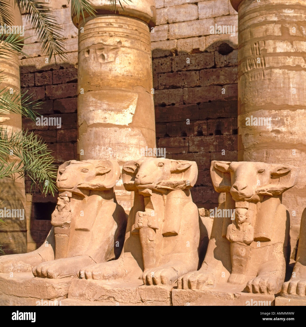 Ram-headed Sphinxes in the Precinct of Amun-Re (or Amum), Karnak Temple ...
