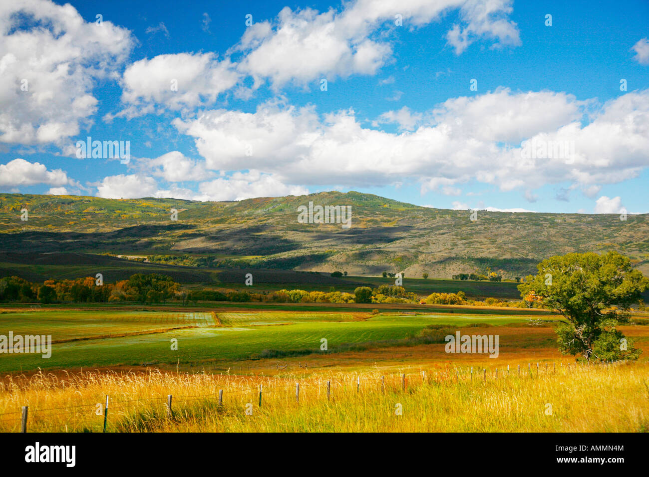 Corn harvest in colorado hi-res stock photography and images - Alamy