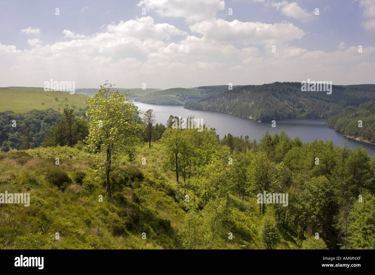 llyn brianne dam and reservoir camarthanshire wales Stock Photo - Alamy