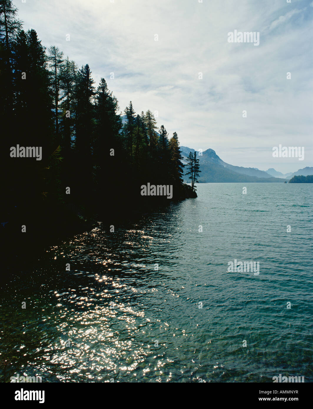 Tree lined river landscape hi-res stock photography and images - Alamy