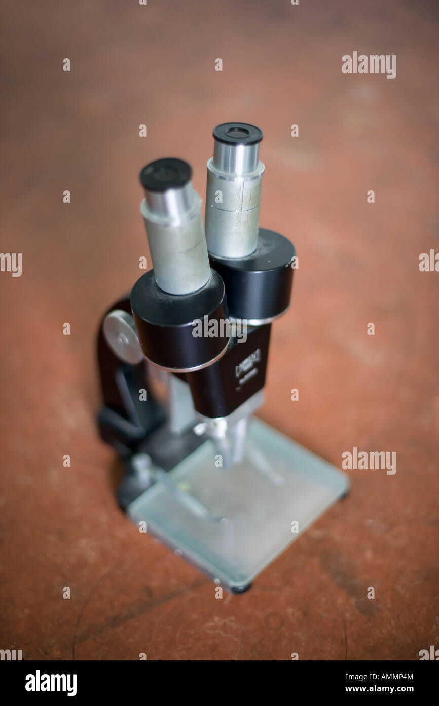 Stereo light microscope hi-res stock photography and images - Alamy