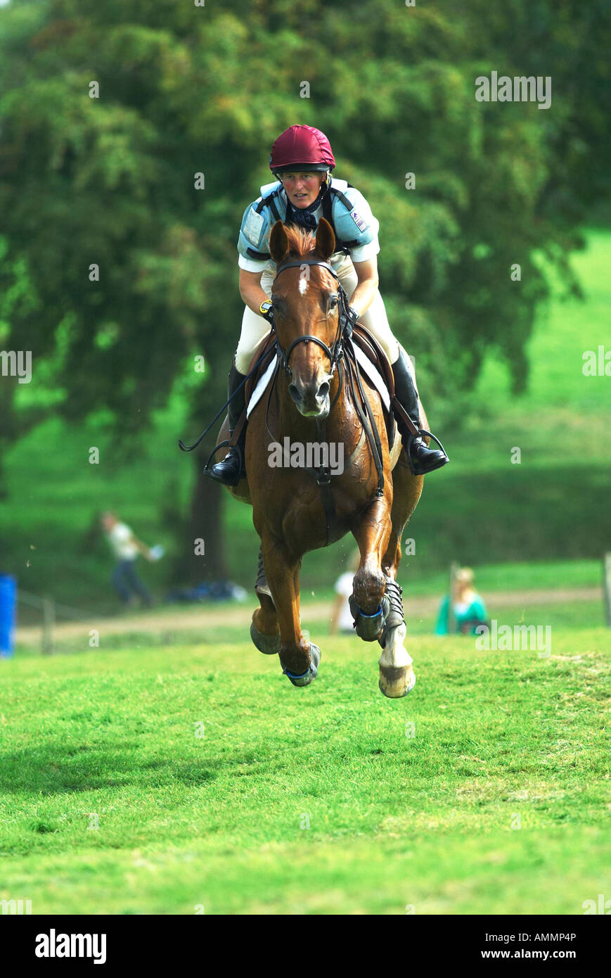 At a gallop hi-res stock photography and images - Alamy