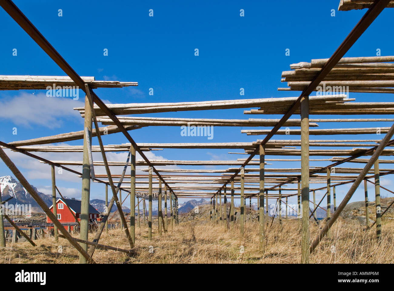 Empty fish racks hi-res stock photography and images - Alamy