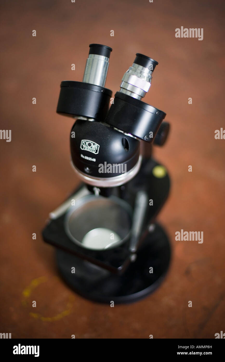 Stereo light microscope hi-res stock photography and images - Alamy