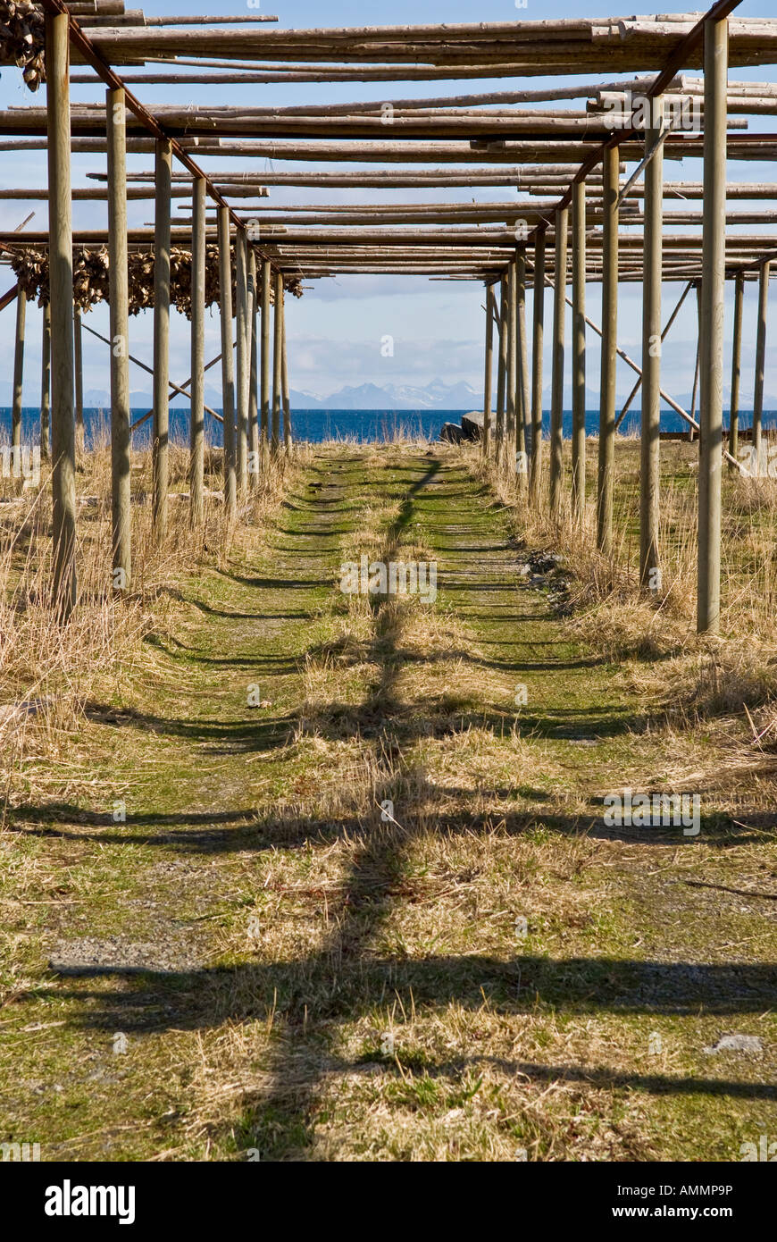 Empty fish racks hi-res stock photography and images - Alamy