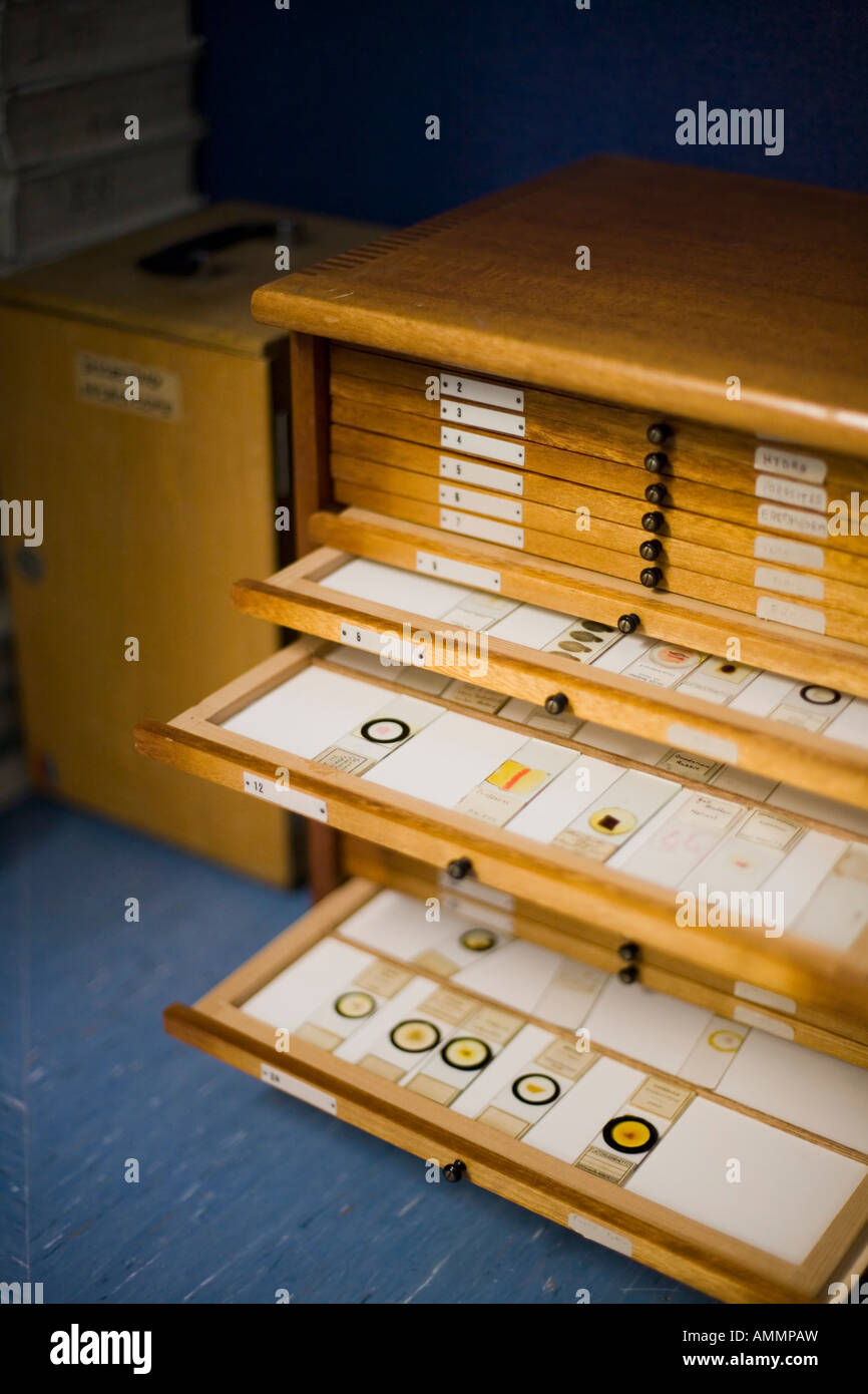 Antique light microscope hi-res stock photography and images - Alamy