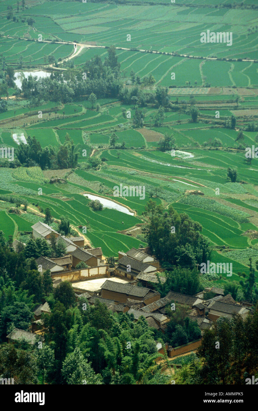 Terraced rice fields near village in Dali Yunnan Province People s ...