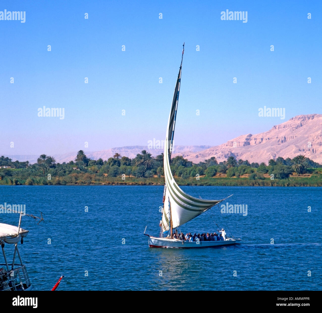 Felucca sailing on the River Nile at Luxor, Egypt Stock Photo - Alamy